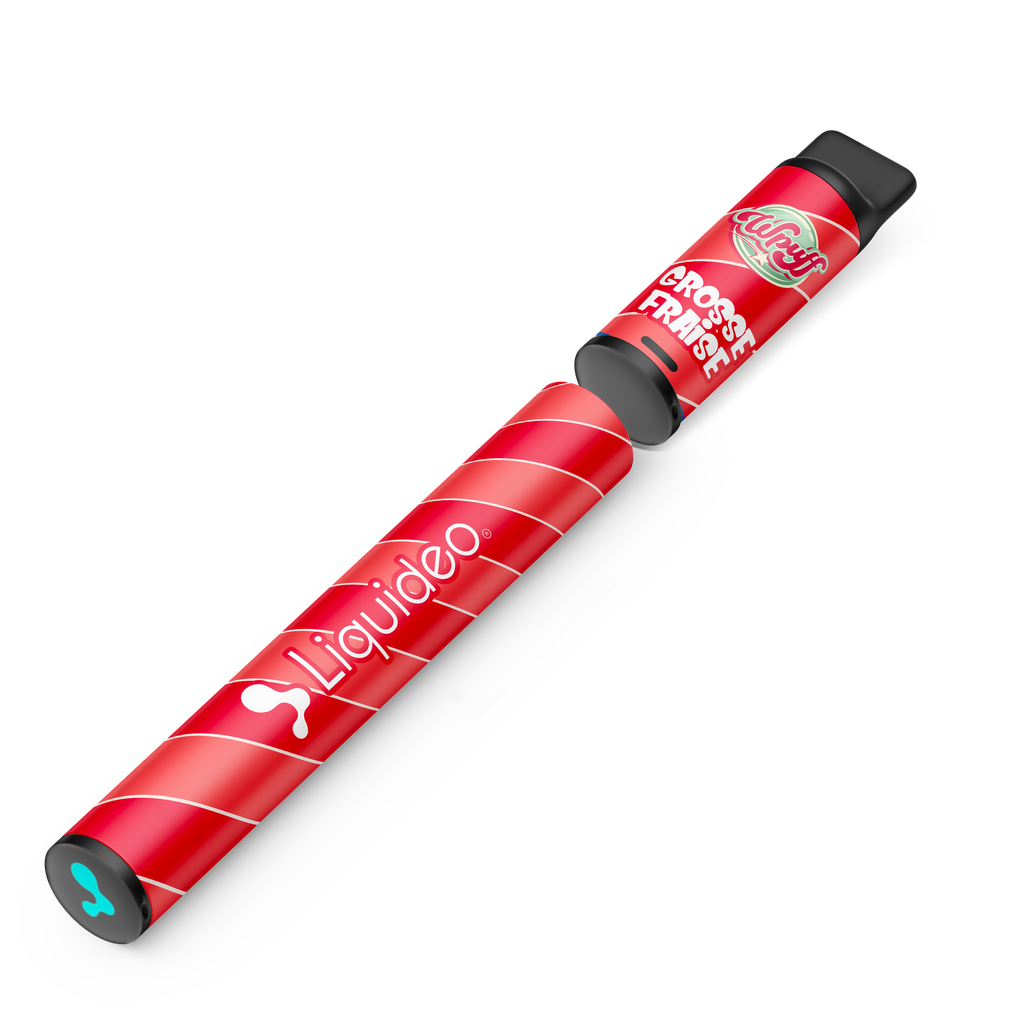 Wpuff Original Pod 600 - 1 batterie + 1 pod Grosse Fraise x10 | LiquideoPRO